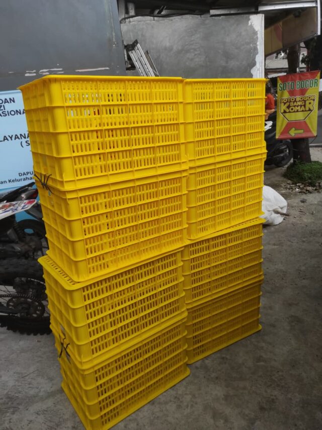 CONTAINER BOX PLASTIK INDUSTRI GREEN LEAF, KIRIM KE PASAR REBO – JAKTIM