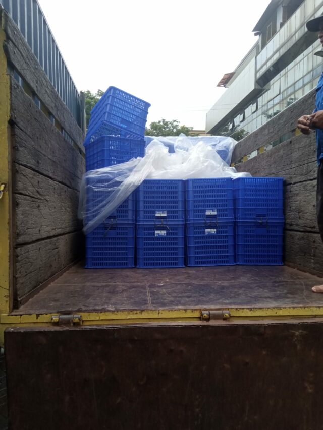 Jual Container Box Industri & Keranjang Plastik Industrial Ukuran Besar ...